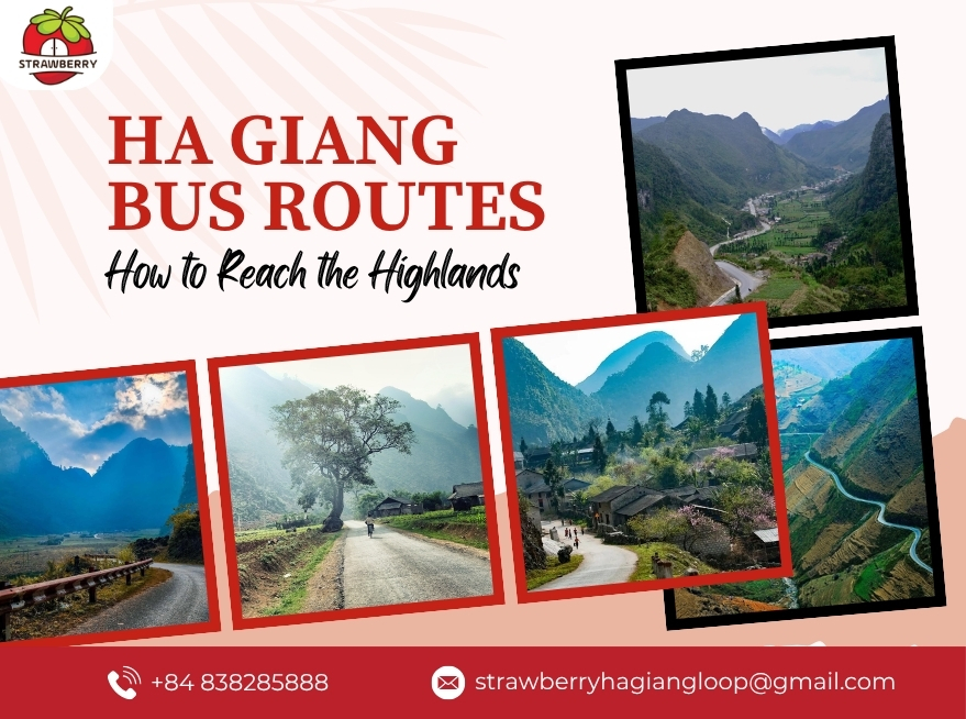 Ha Giang Bus Routes: How to Reach the Highlands - Strawberry Ha Giang ...