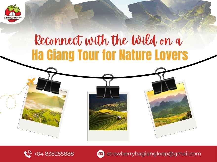 Reconnect With The Wild On A Ha Giang Tour For Nature Lovers ...