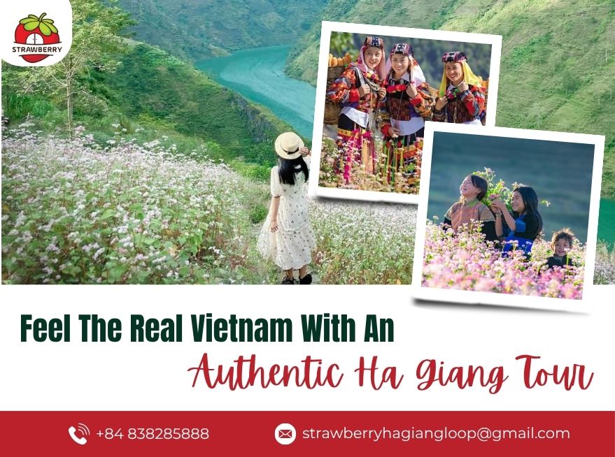 Feel The Real Vietnam With An Authentic Ha Giang Tour - Strawberry Ha ...